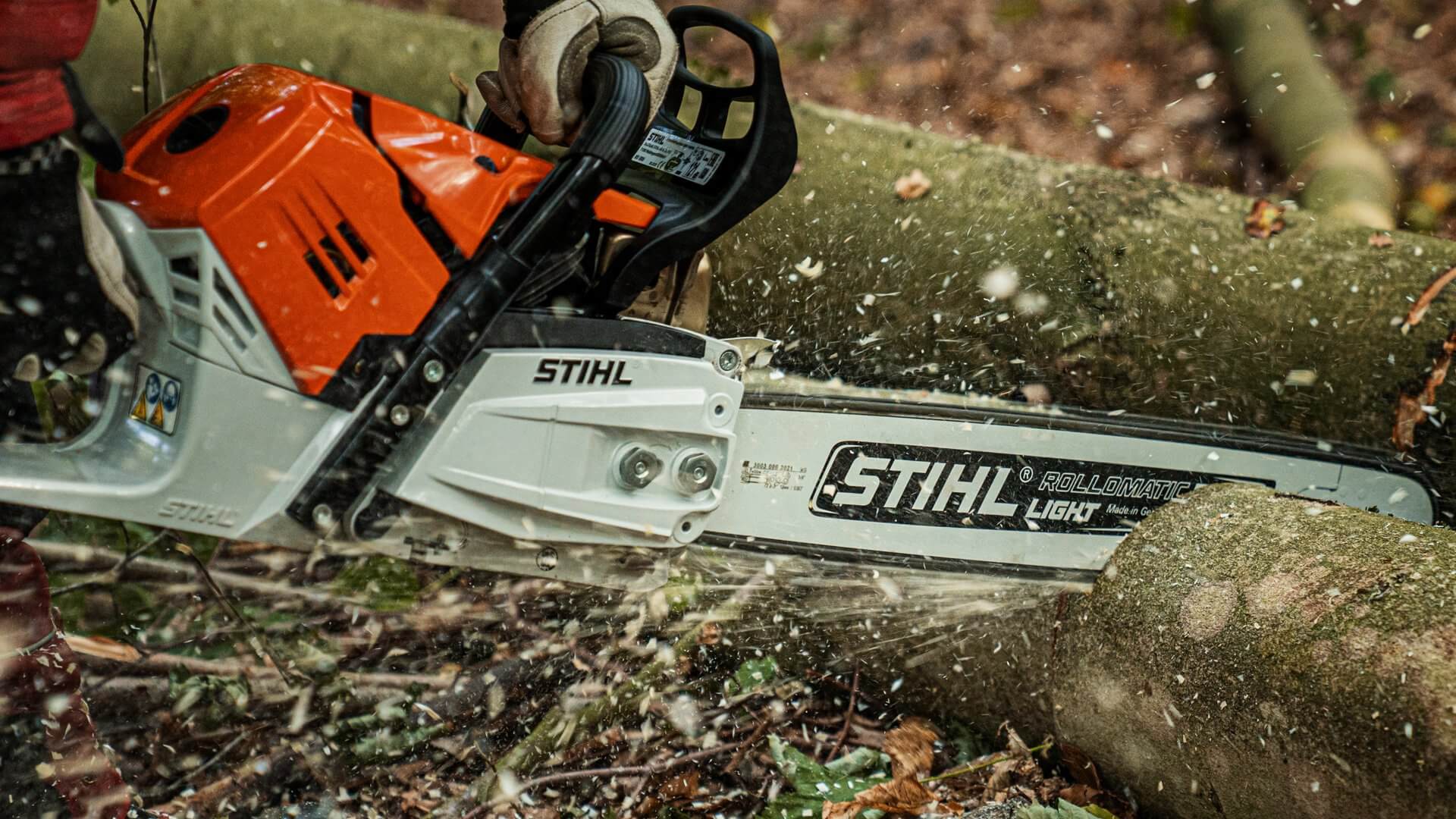 Motorsägenkurse - Wald-MV